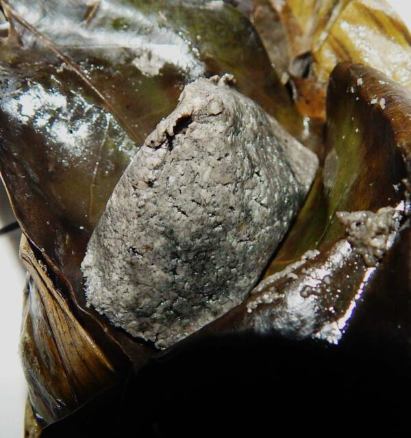 Ogiri Igbo Paste (50g) - African Market Dubai