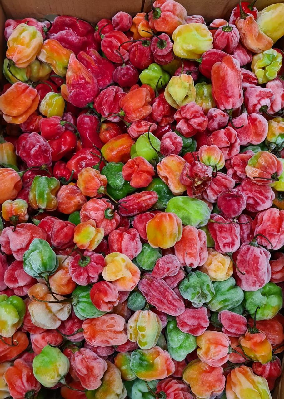 Scotch Bonnet African Fresh Red Pepper (1kg) - African Market Dubai