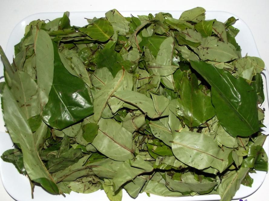 Dry Oha Leaf 100g - African Market Dubai