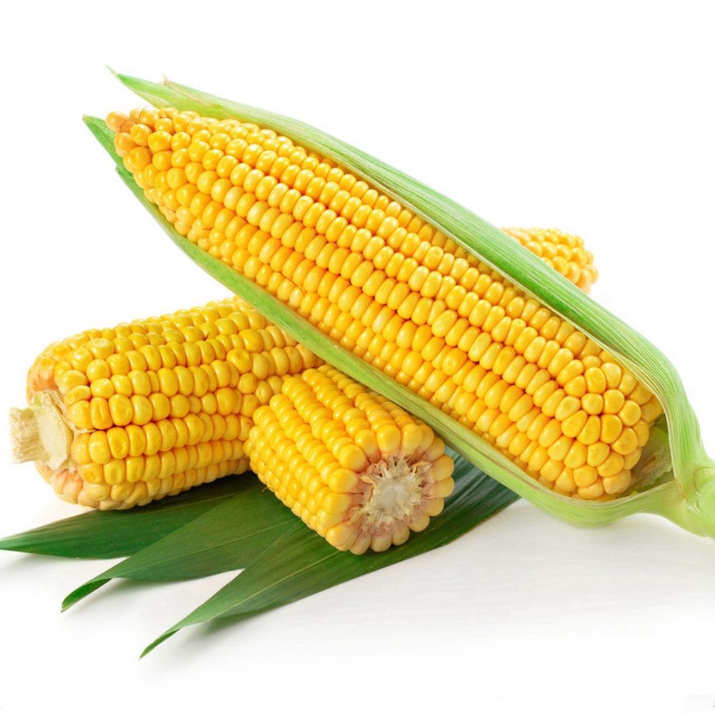 African Sweet Corn (2 Pieces) - African Market Dubai