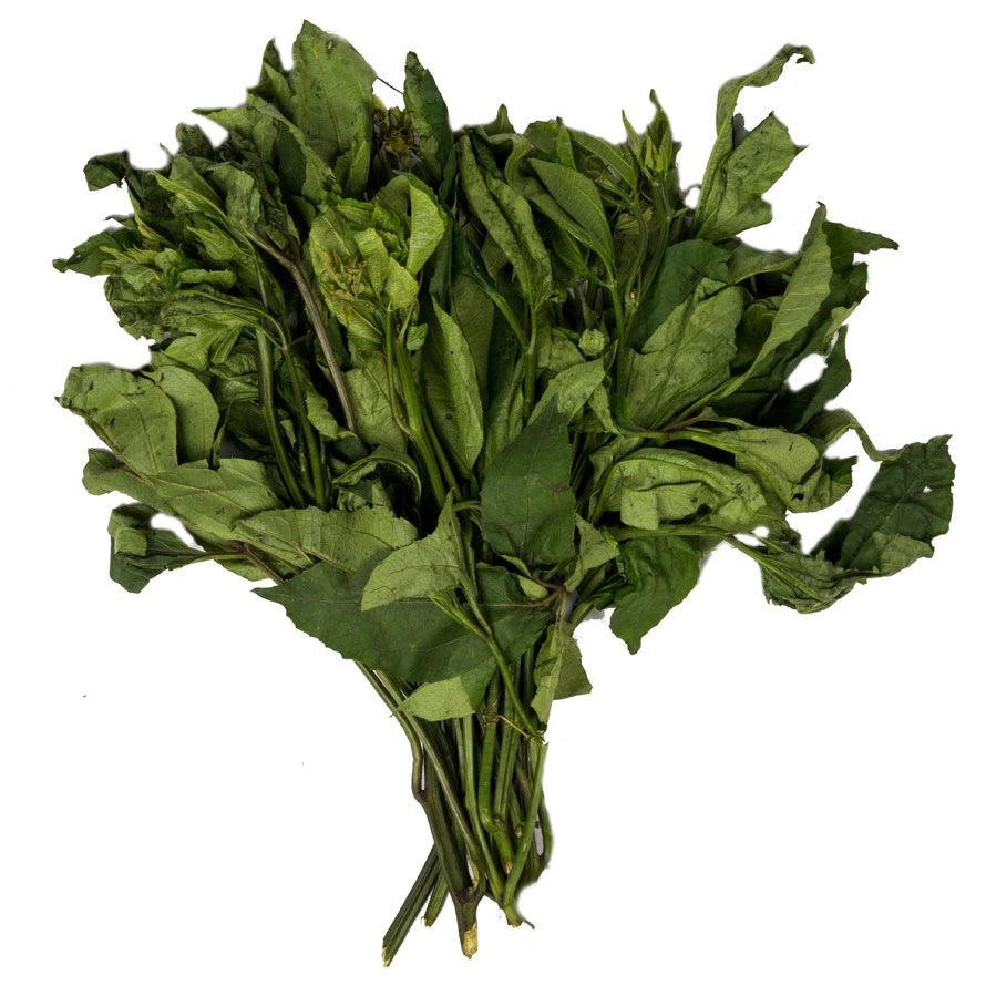 Ugu Fresh Leaves 1 Bundle (Pumpkin leaves) - African Market Dubai