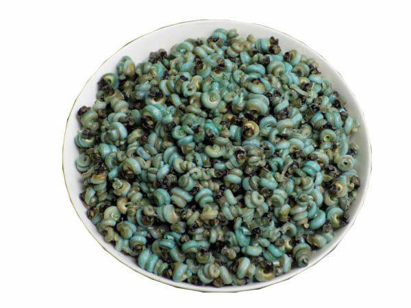 Fresh periwinkle 500g - African Market Dubai