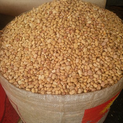Honey Brown Beans Oloyin 10kg Bag - African Market Dubai