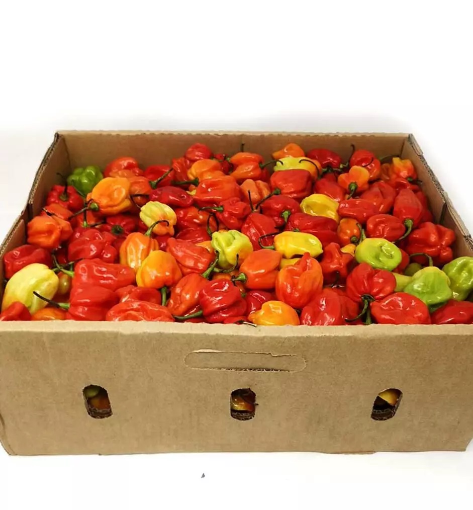 Full Box Fresh Scotch Bonnet Red Pepper 5kg - African Market Dubai