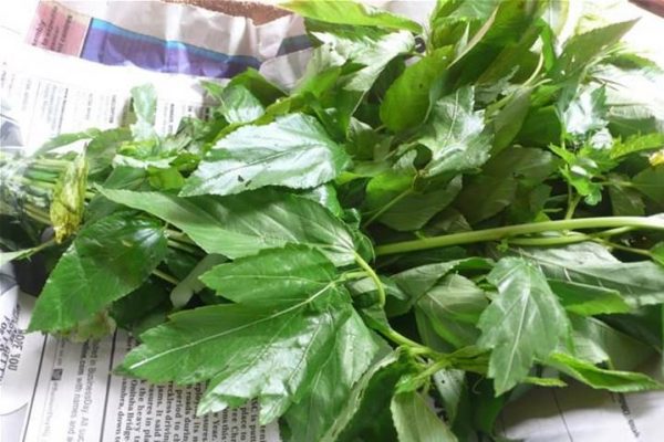 Dry Ewedu Vegetable - African Market Dubai