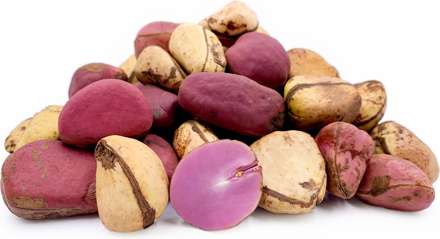 Red Kola Nuts (Oji Igbo) - African Market Dubai