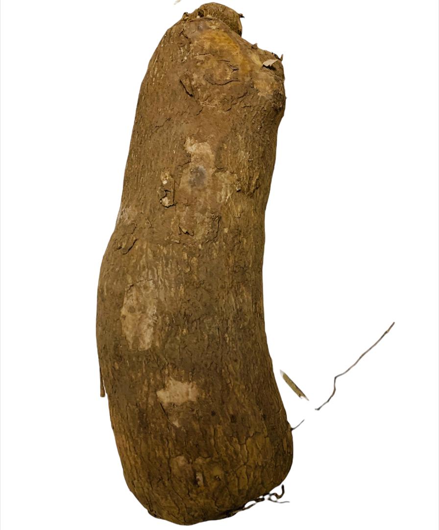 Ghana White Yam 3.5kg - 4kg - African Market Dubai
