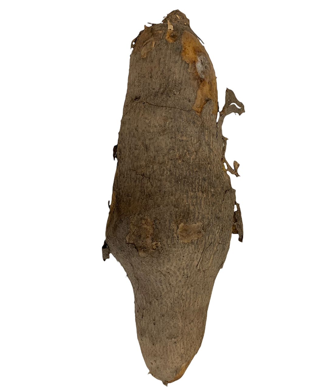 Puna Ghana Yam 900g-1kg - African Market Dubai