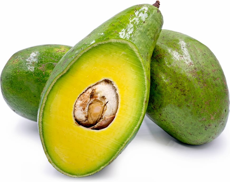 Avocado Pear x 1pc - African Market Dubai