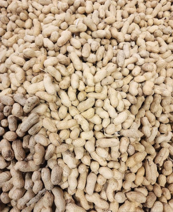African Raw Groundnut (Peanut) With Shell 1kg - African Market Dubai