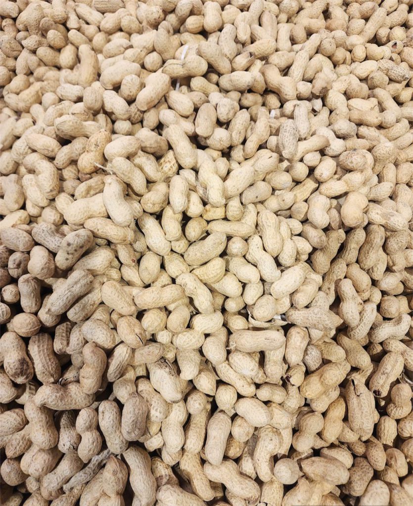 African Raw Groundnut (Peanut) With Shell 500g - African Market Dubai