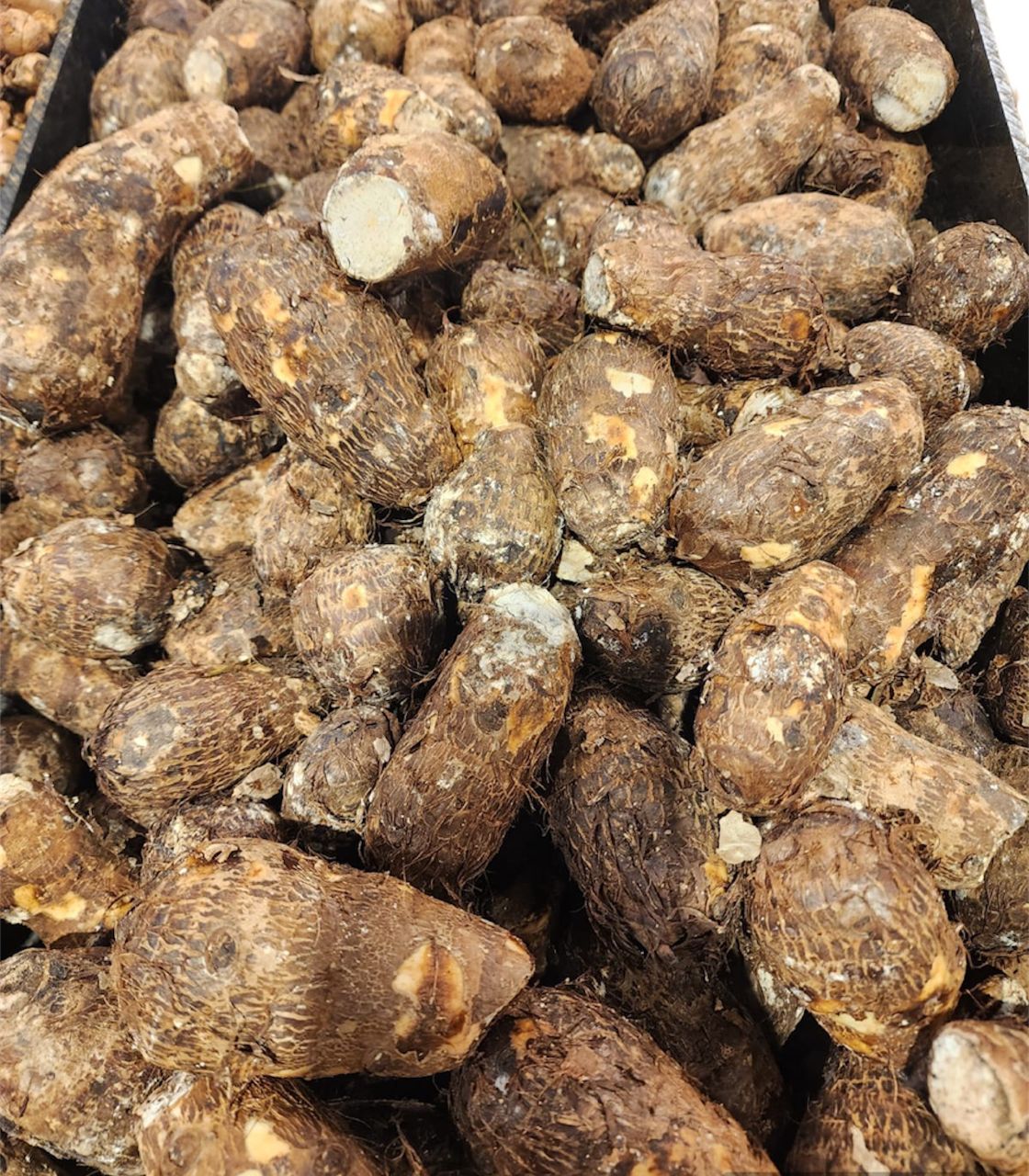 Ede Eko ( edible Tiger Cocoyam) 1kg - African Market Dubai